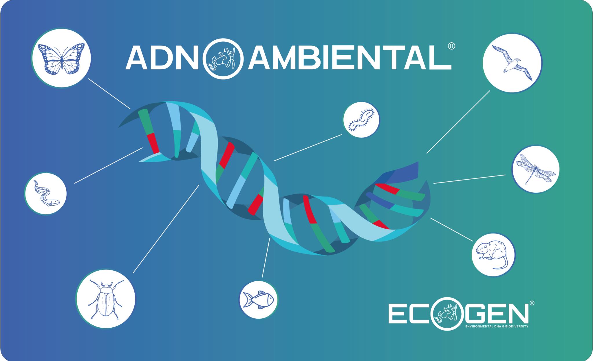Qué es el ADN ambiental – ADN ambiental & biodiversidad